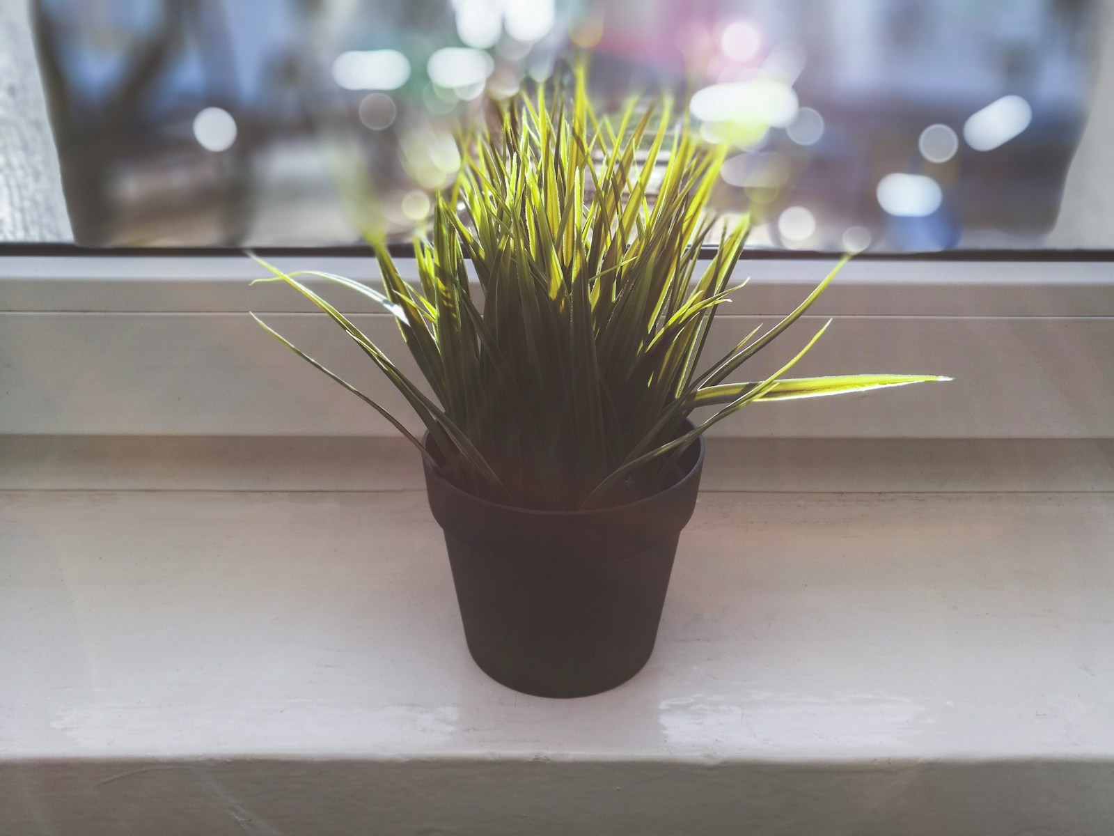 Artificial Plants vs. Real Plants: Which is Better for Office Spaces?